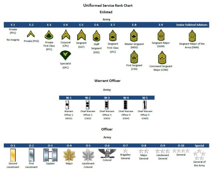 Army Ranks Chart Army Ranks Chart