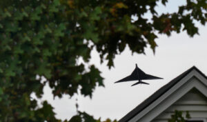 We asked AI to create images of top-secret new stealth aircraft and ...
