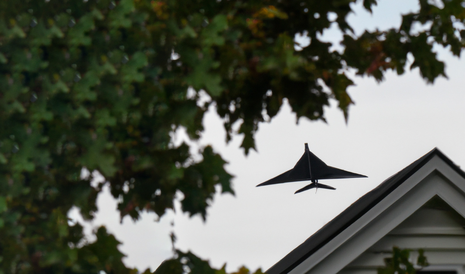 We asked AI to create images of top-secret new stealth aircraft and ...